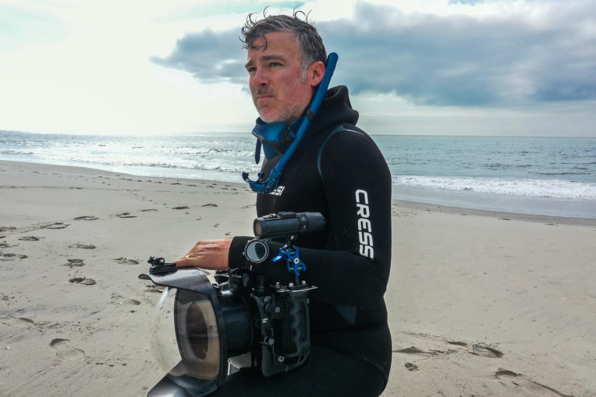 Alumni: How UMassD’s Craig O’Connell, PhD ’14 became the Shark Doctor ...