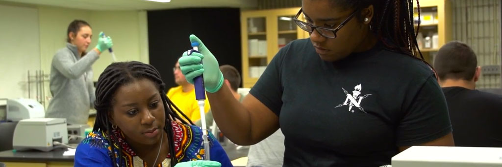 Biomedical Engineering Program | UMass Dartmouth