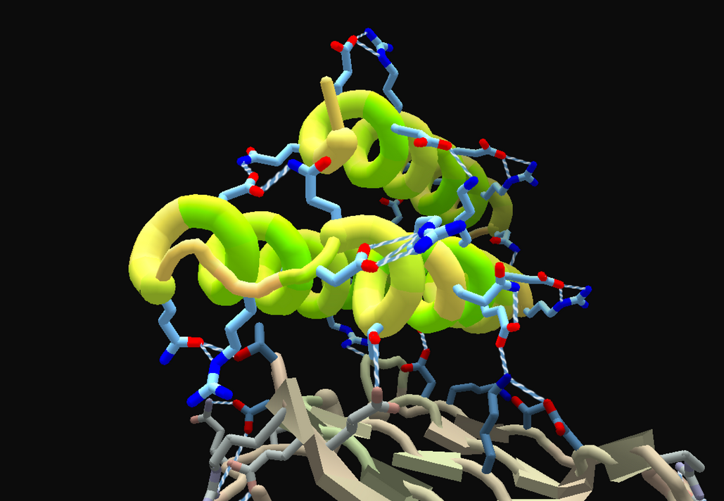 2025: UMass Dartmouth researcher advances global protein databases ...