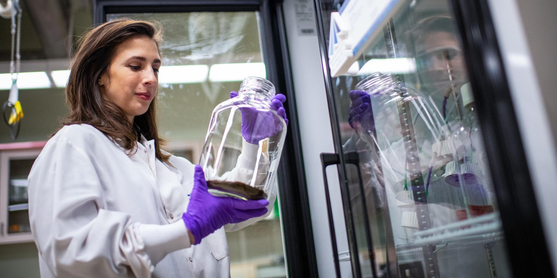 Biodegradability Lab | School for Marine Science & Technology | UMass ...