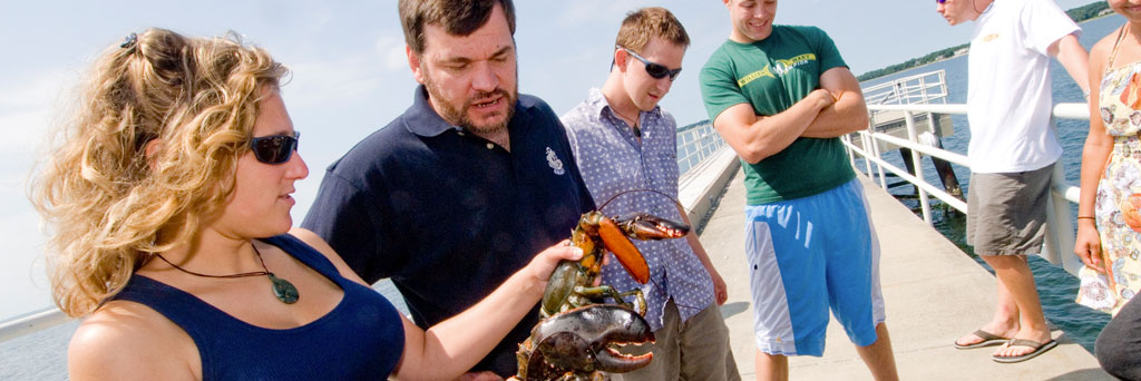 Fisheries Oceanography | School for Marine Science & Technology | UMass ...